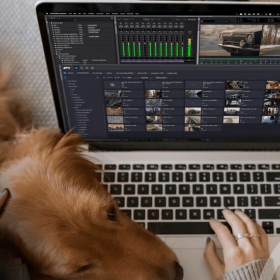 Embody/Steinberg Immerse Virtual Studio | Audiofader - RecMixMasterSoundDesign
